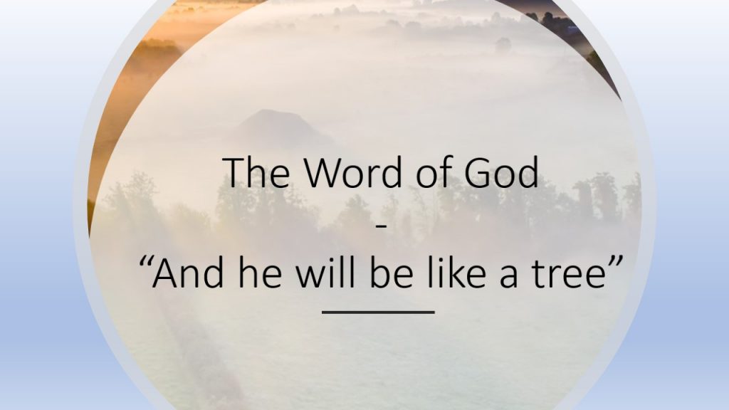 The Word of God – And he will be like a Tree – Christians on Campus at ...